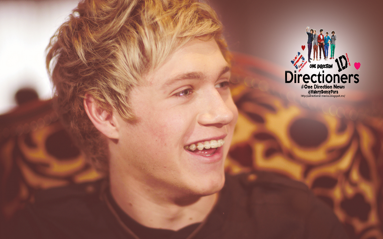 Directioners : Posters