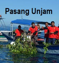 Anim Agro Technology: UNJAM - APA PENTINGNYA? (Part 1)