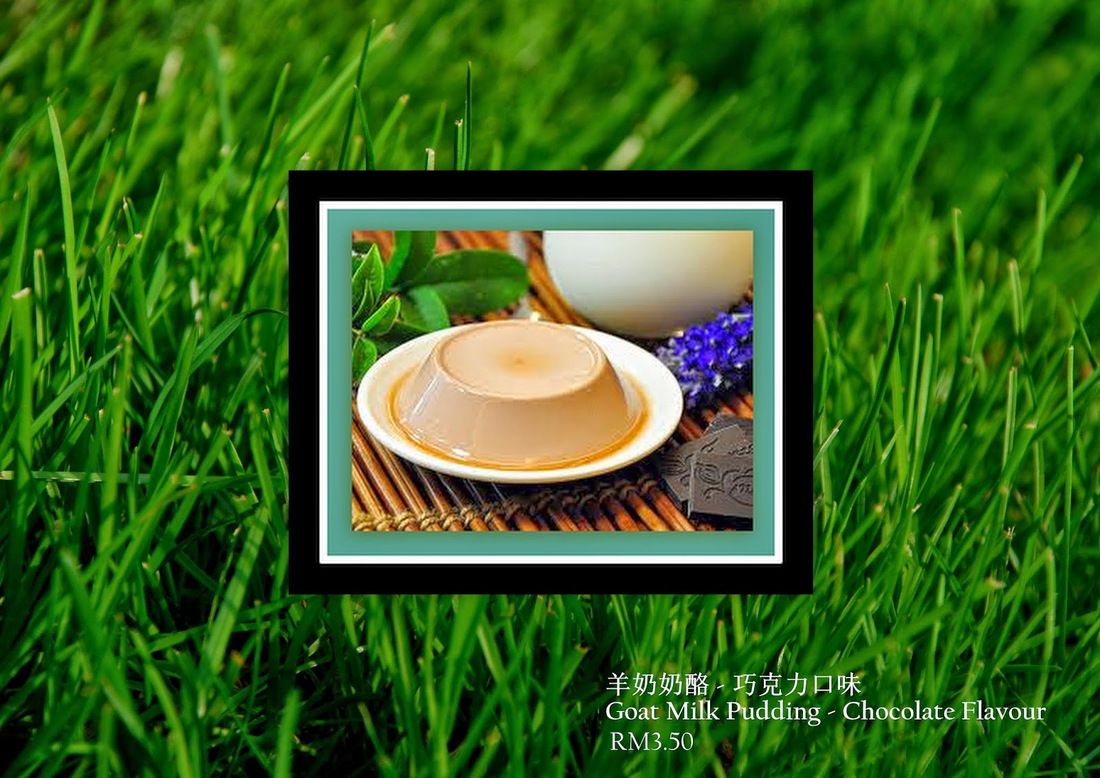 Alita Goat Milk 新鲜羊奶 - Johor 新山: 只有新鲜羊奶？ Only original goat milk ...