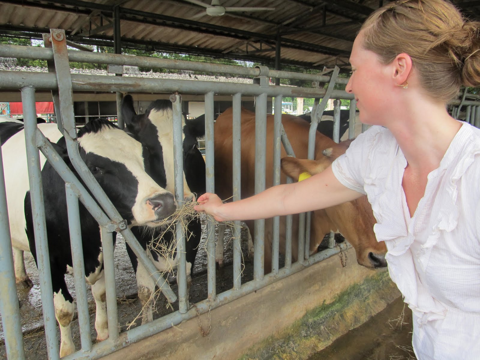 Ms. Specht's Asia Trip: The Royal Chitralada Project