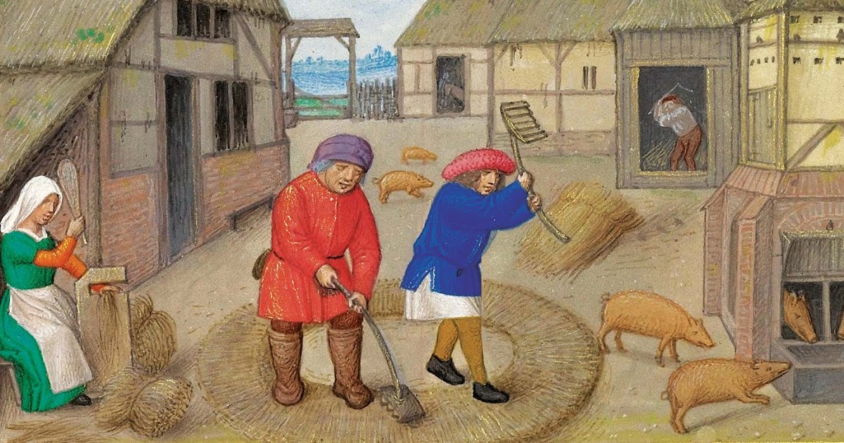 Antonio Bruno Dottore Agronomo Esperto in diagnostica urbana e ...