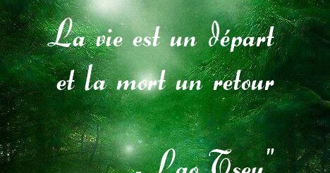 Ami Citation Adieu By CiteMywap