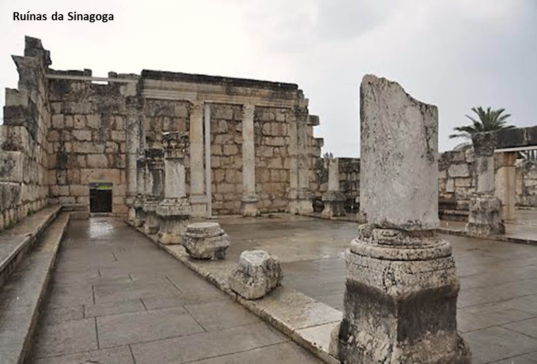 Adalia Helena: FOTOS DE CAFARNAUM