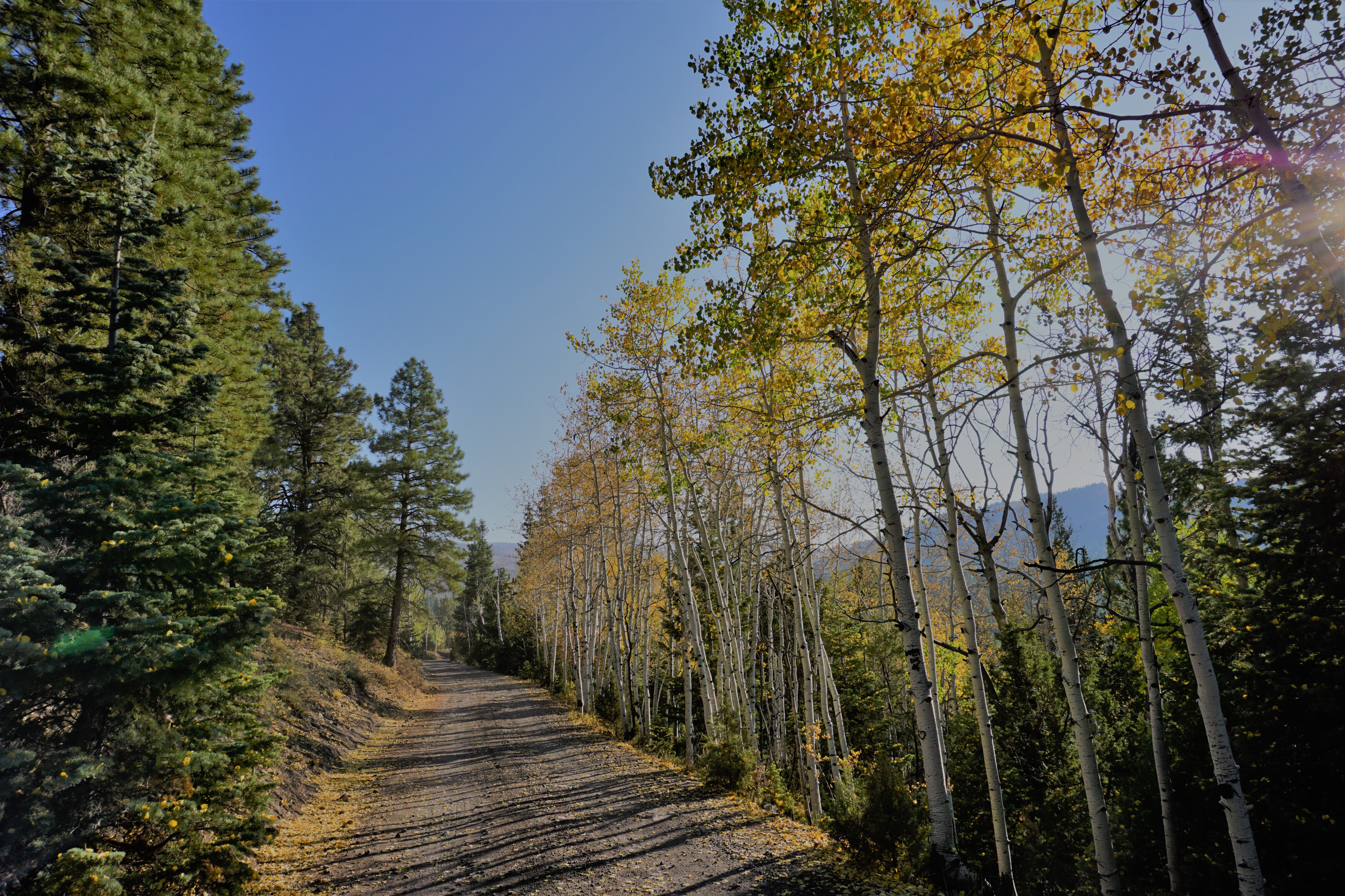 Knowledge of Rural Ways: 2020