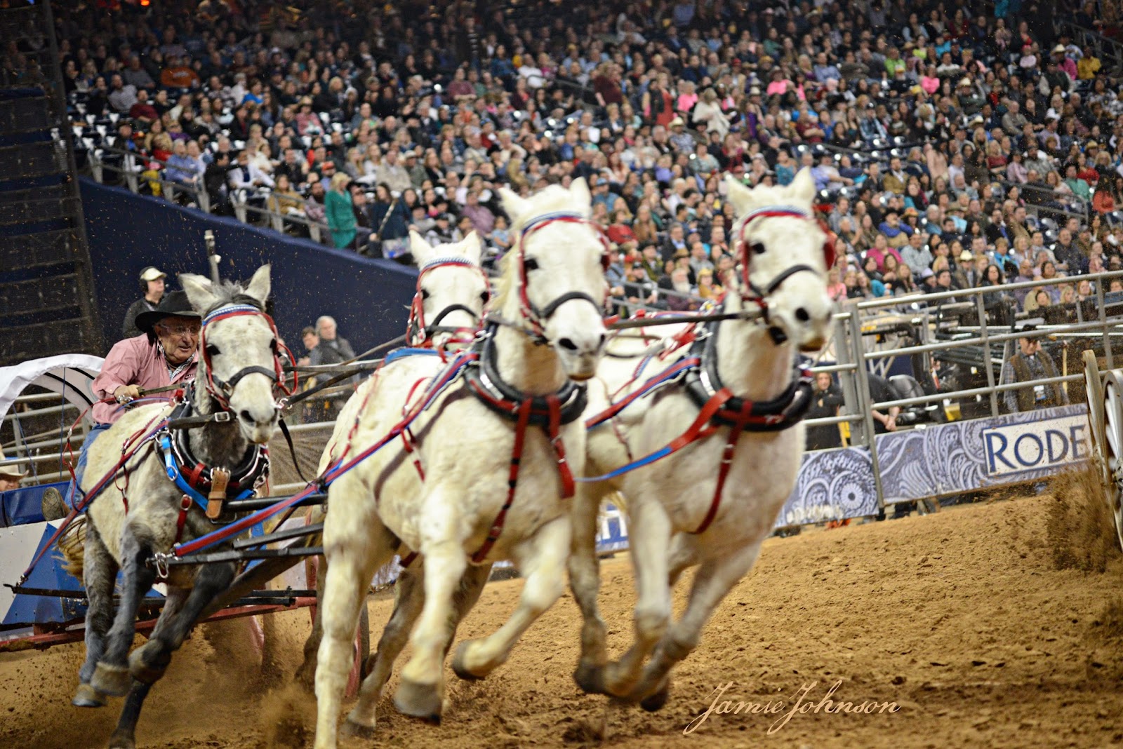 JAMIE JOHNSON -Photographer: Humble Kingwood Houston Dallas TX Cowboy ...