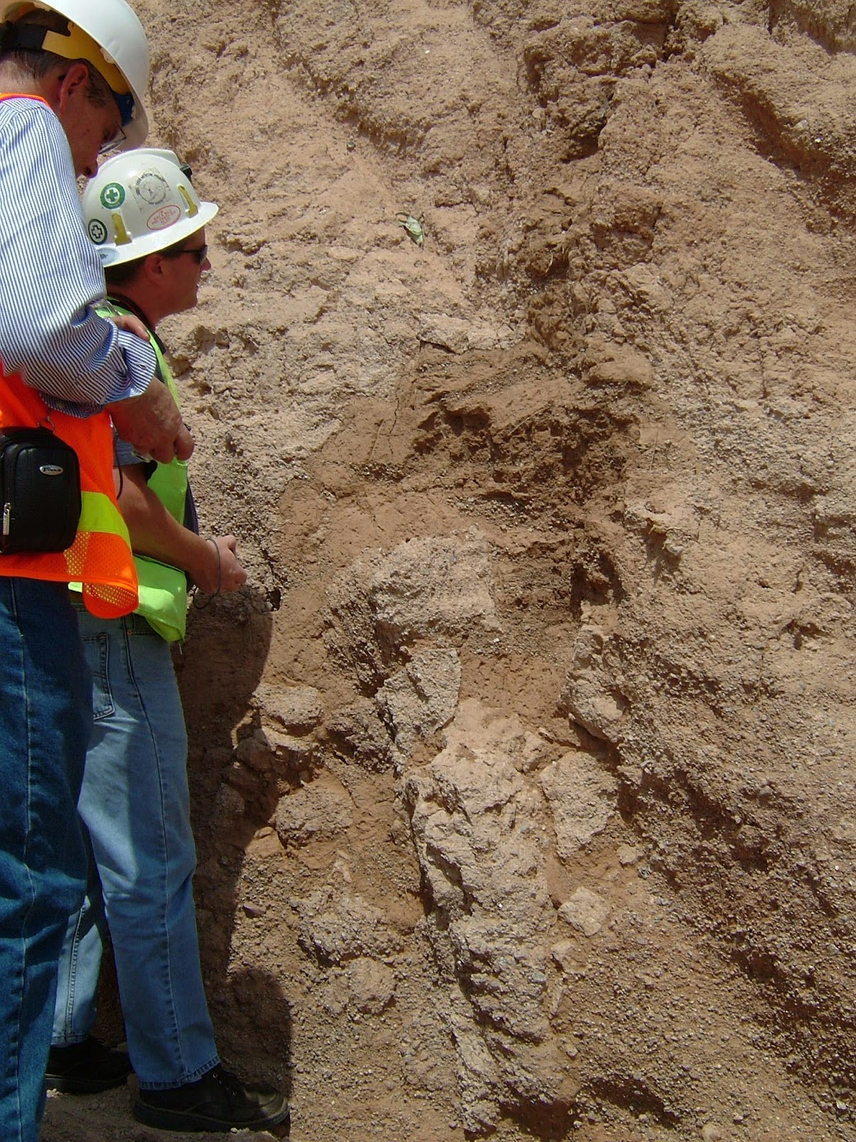 Arizona Geology: Geologists opposed to de-licensing of profession