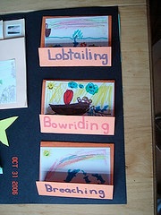 Tracy's Treasury: Lots of Minibook Examples