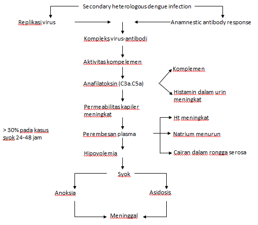 Demam Berdarah Dengue ~ IMM Karanganyar