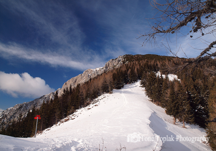 Narava hribi in gore: Peca-2125m-zimski pohod