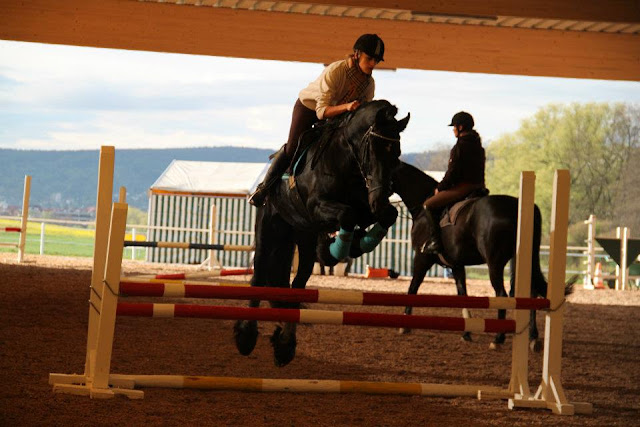 PFERDE & REITEN & TURNIERE : Springen