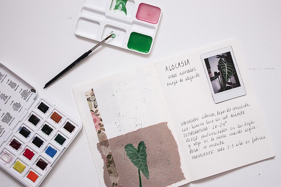 Diario de plantas y cuidados | Plantas
