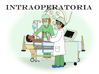 Fases Operatorias: Intraoperatoria