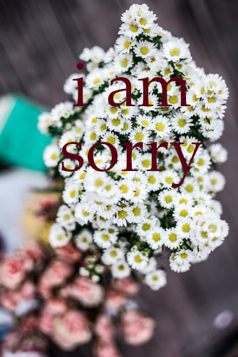 Top 10 Sorry Images greetings pictures photos for WhatsApp Facebook ...