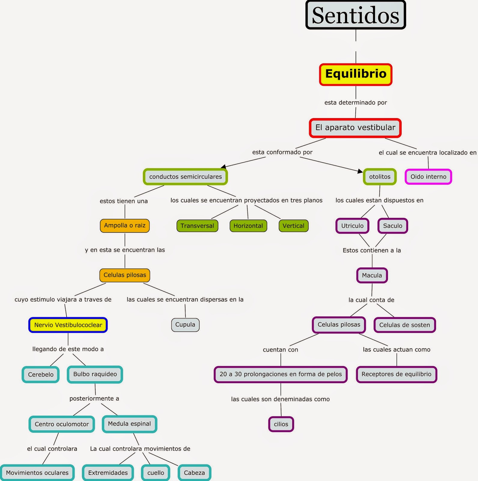 Blog de Fisiologia Medica de Miguel Angel Rivera Arce: Mapa conceptual ...