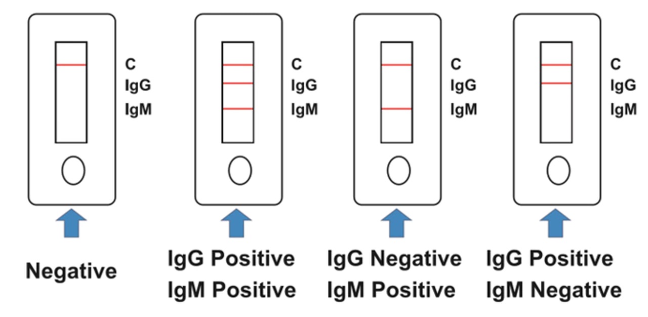 taufanyanuar: Grafik Rapid Test vs PCR Test