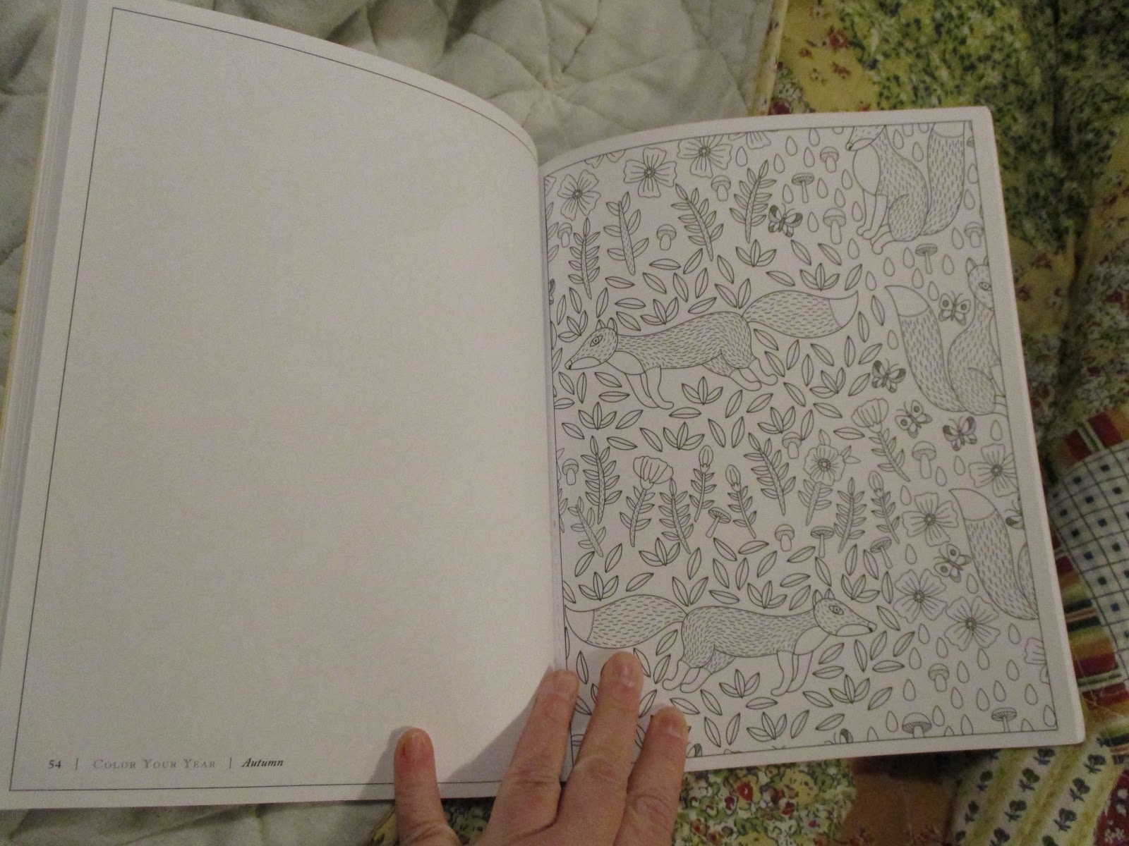 Missy's Product Reviews : Color Your Year A Changing Seasons Coloring Book