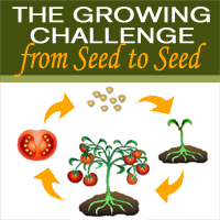 Kim's Square Foot Gardening Blog: 2011 Growing Challenge: 4 Season ...