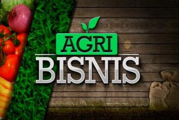 Apa Itu Agribisnis? Pengertian Agribisnis