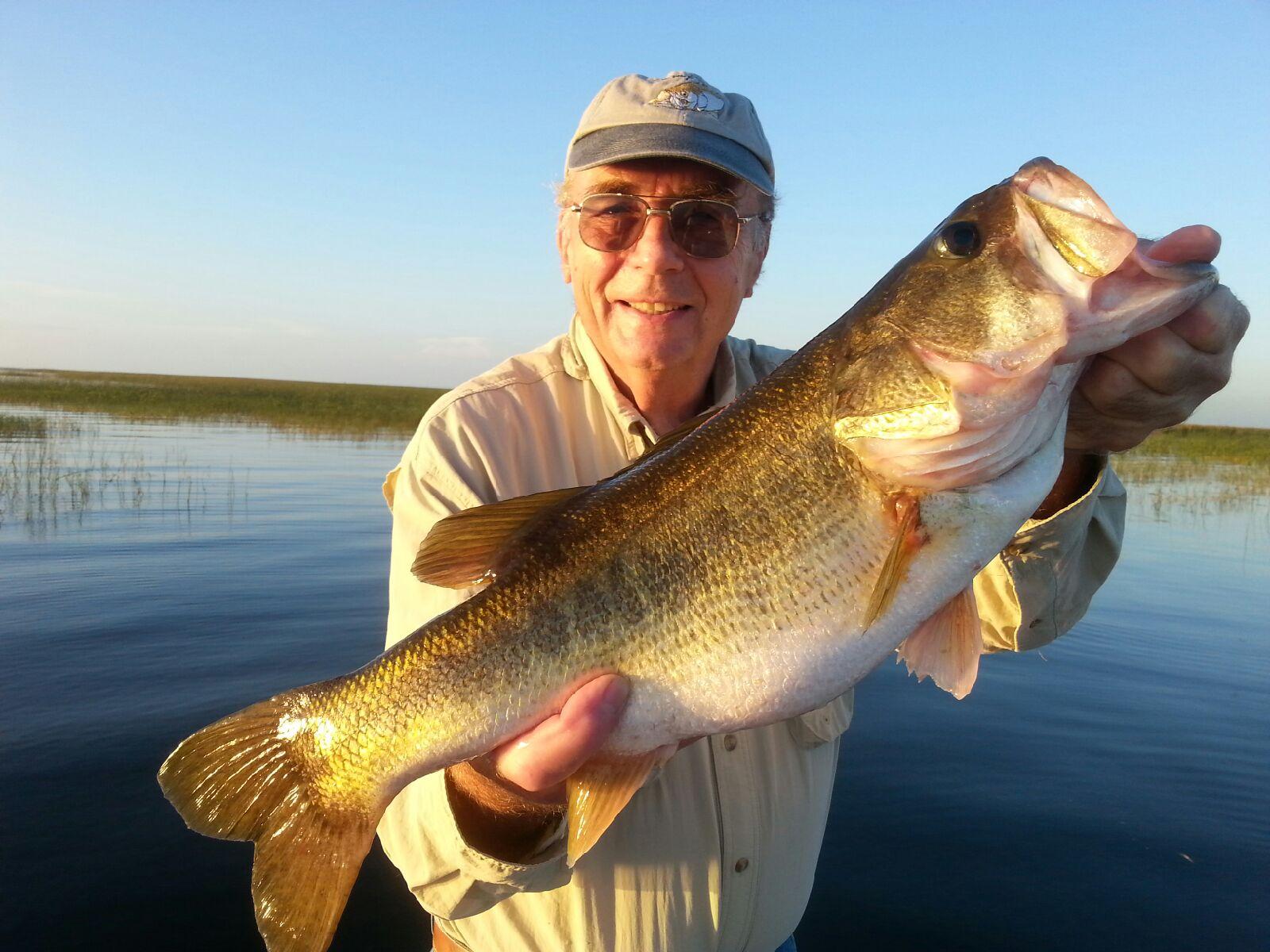 Bass on shiner's in June, it's the hot ticket! – Lake Okeechobee Bass ...