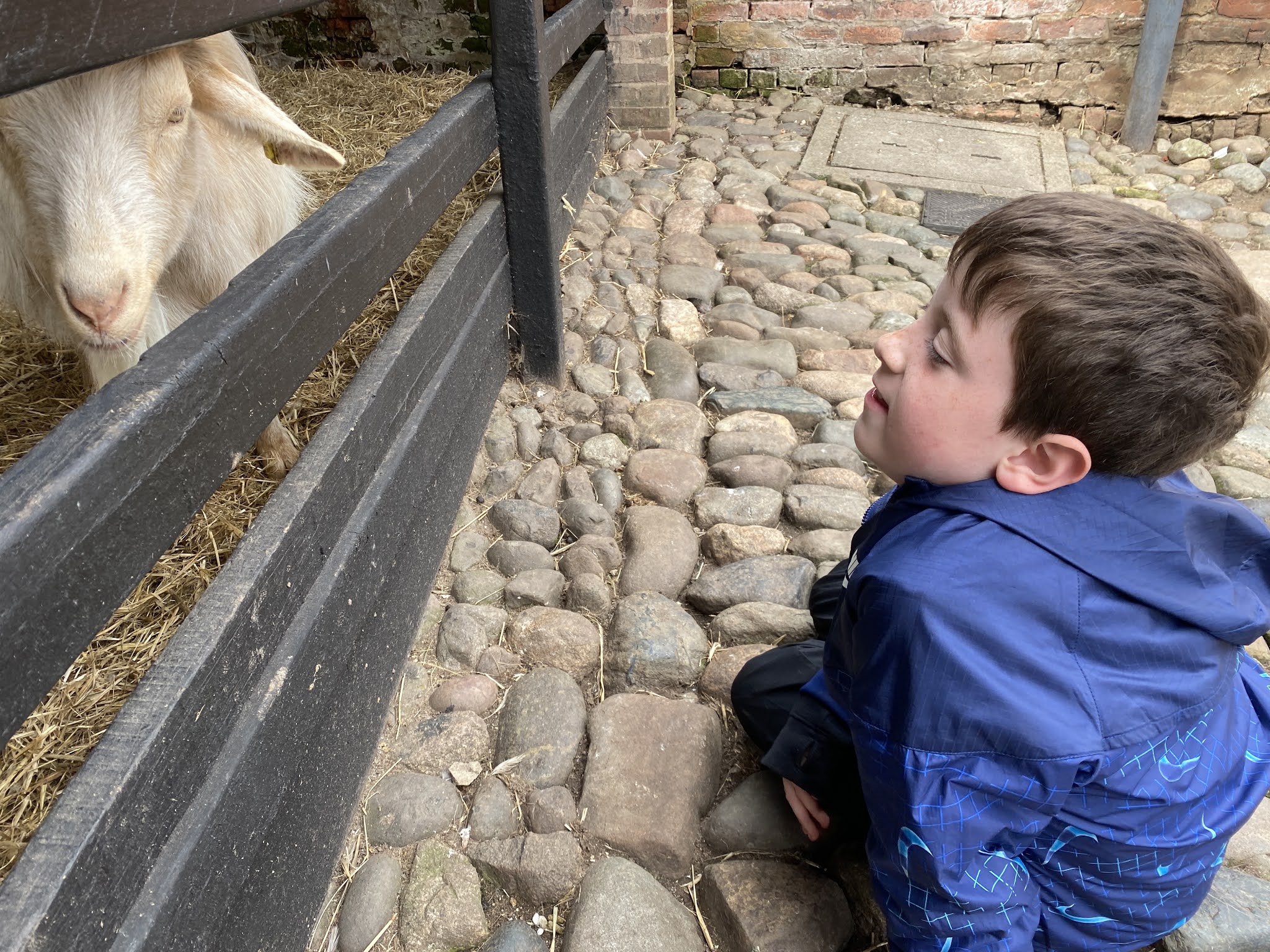 Playdays and Runways: Tatton Park Farm