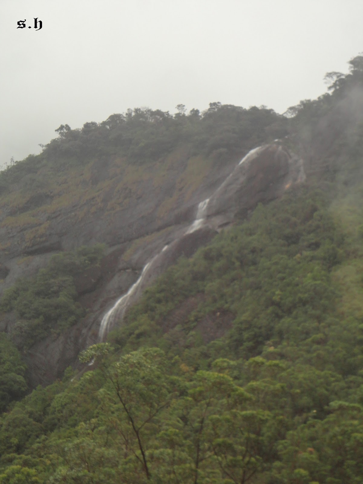 picture box: nacharal