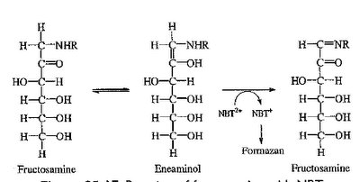 Biochemistry Class notes: Fructosamine and it's implications