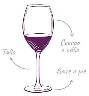 Partes de Una copas de vino.