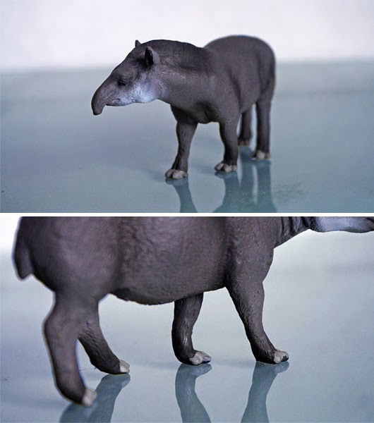 62. 巴西貘 (2013) | ┤動 物 流 ANIMAL STREAMS├