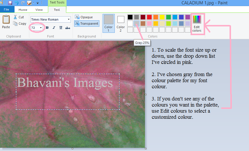 Looking Under The Hood: Watermarking Your Images - Using Paint