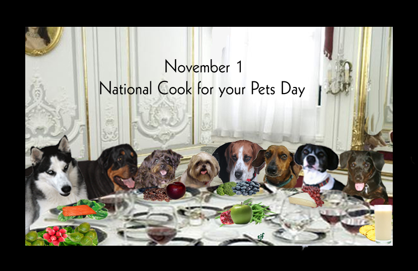 Dietitians Online Blog: National Cook for your Pets Day - Cooking Tips ...