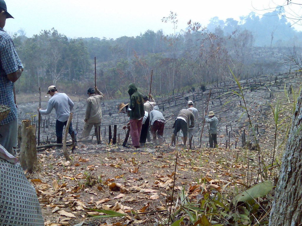 Wild Adventure - Central Borneo island: Shifting AND TRADITIONAL Wisdom ...