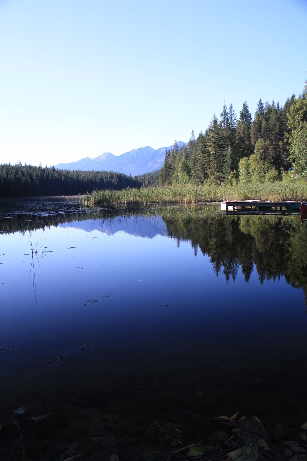 Get Me Outdoors: My Stag in Golden