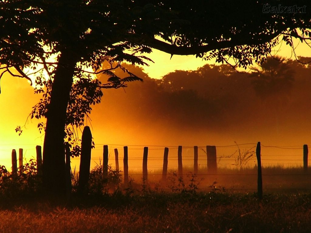 BRASIL AGRÍCOLA: ECOTURISMO RURAL