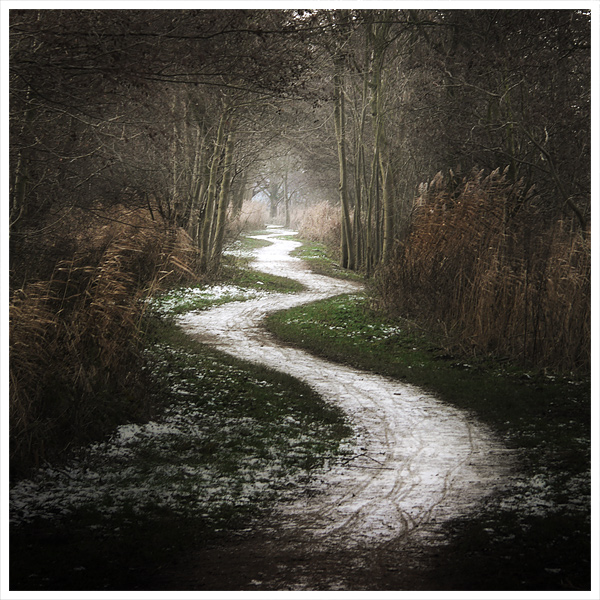 intellectual mind-boggling blog: A Worn Path - Eudora Welty