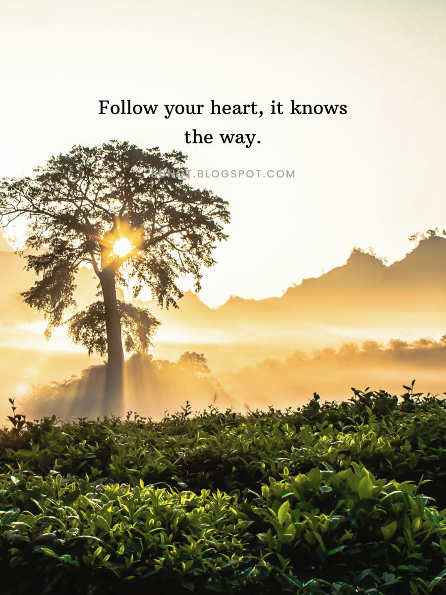 Follow your heart, it knows the way.｜Life Quotes - SunQuotes