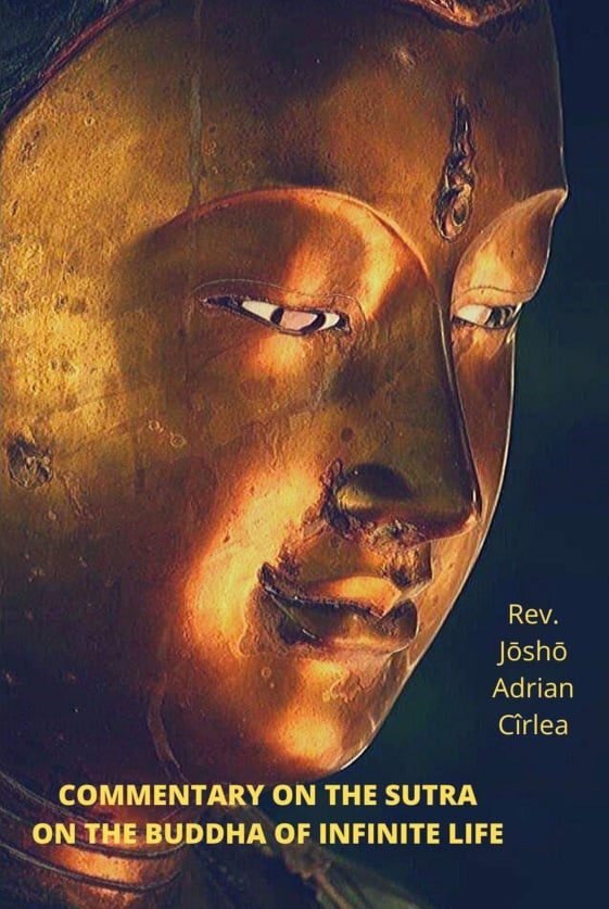 Commentary on the Sutra on the Buddha of Infinite Life (Larger Sutra ...