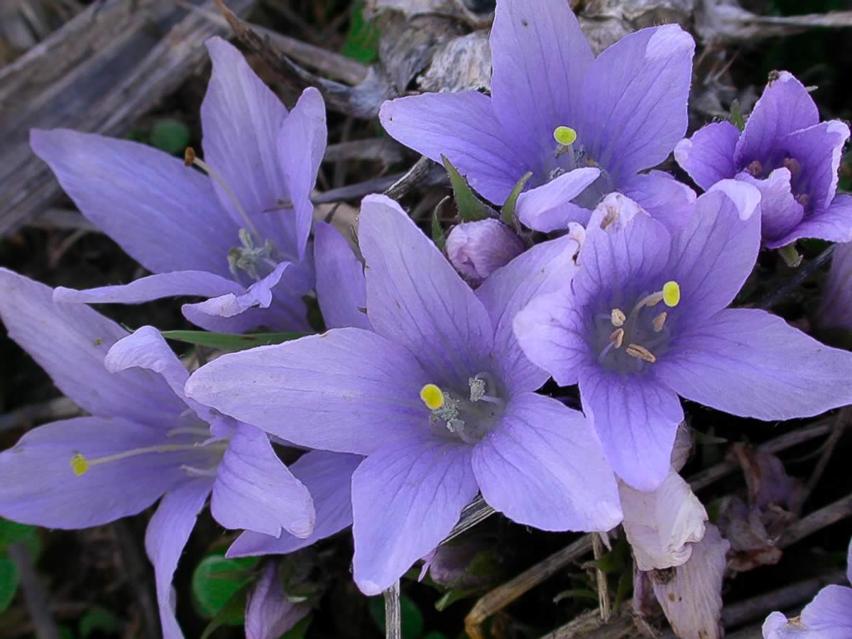 Sobre esto y aquello: Del Génesis a Harry Potter: el fantástico embrujo ...