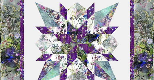 Quilting Land: Star Gazer Quilt