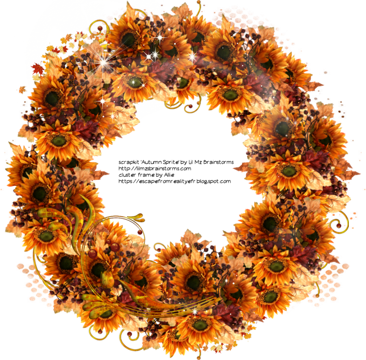 Escape From Reality Blog: FTU 'Autumn Sprite' Cluster Frames LMB