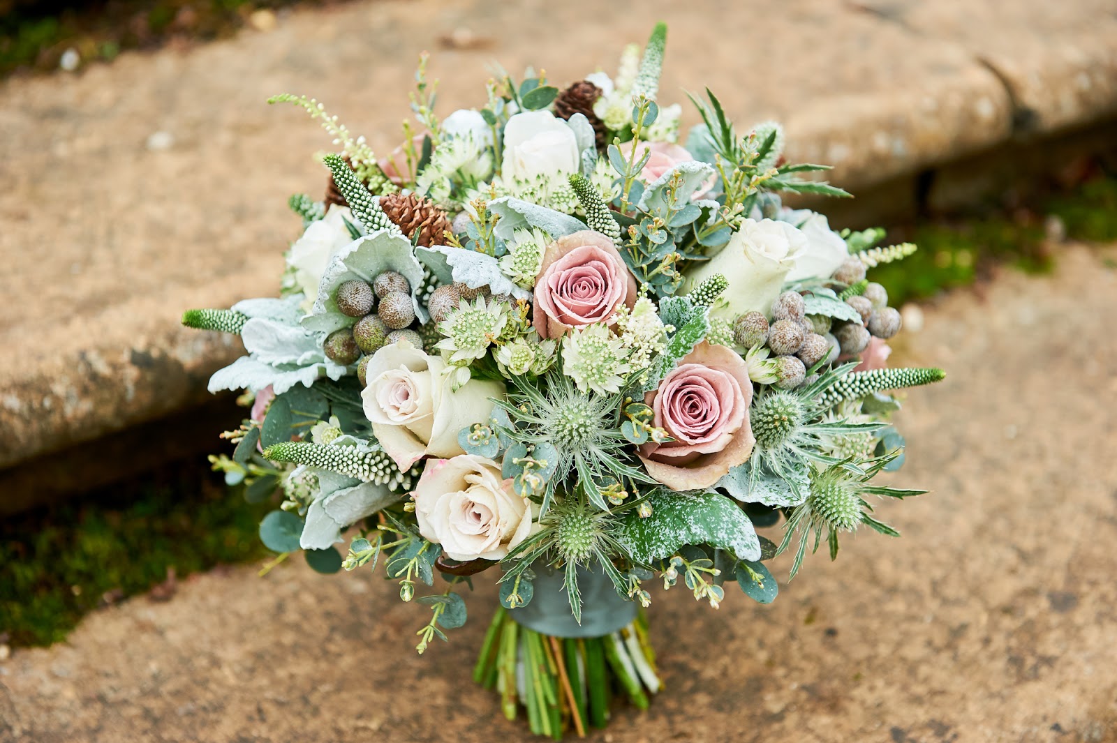 kevin wilson photography: 2018