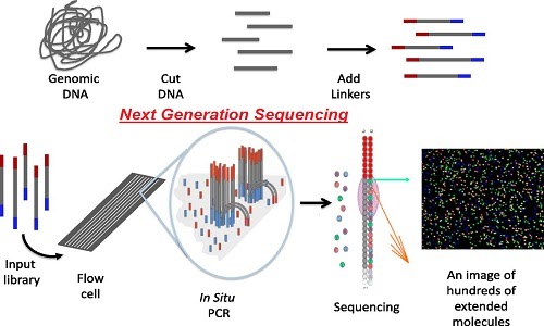 Next Generation Sequencing | Explore The New Technology