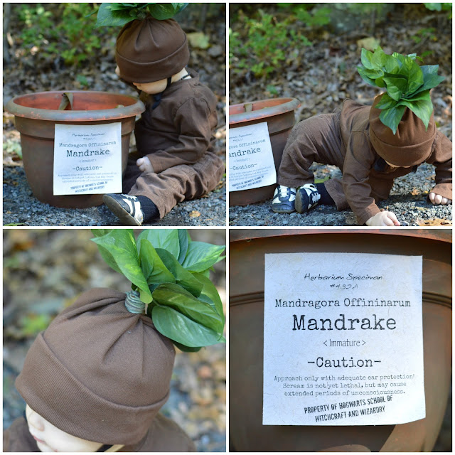 1001 Goals: DIY Mandrake Costume, Two Ways