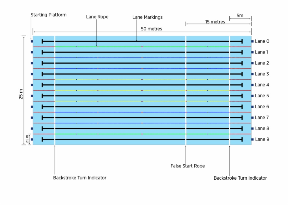 Olympic Size Swimming Pool Dimensions - Livingroom Sets