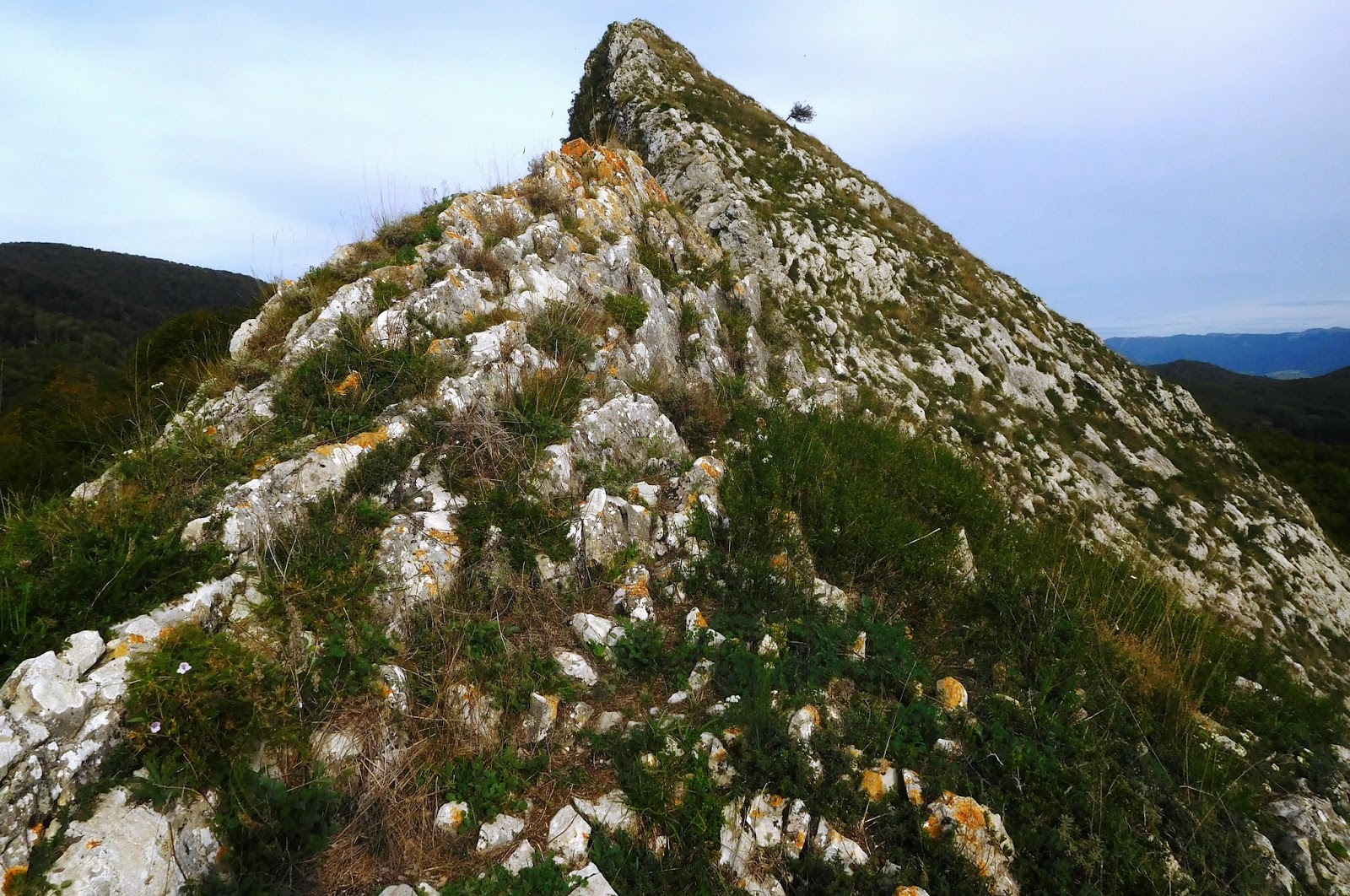 SARABEKO HAITZA desde el VALLE DE SARABE ( URDIAIN ) 159