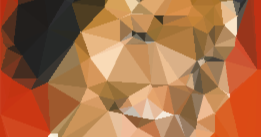 Cole Brucker Computerized Graphic Design: Polygon effect