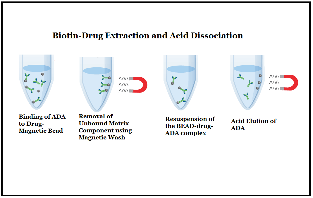 Bioanalytical Methods to Reduce Drug Interference in Anti-Drug Antibody ...