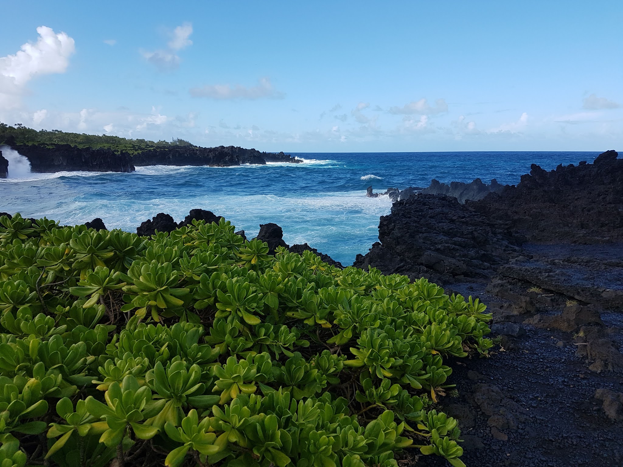 Linux Mint 19.3 duvar kağıtları nasıl indirilir