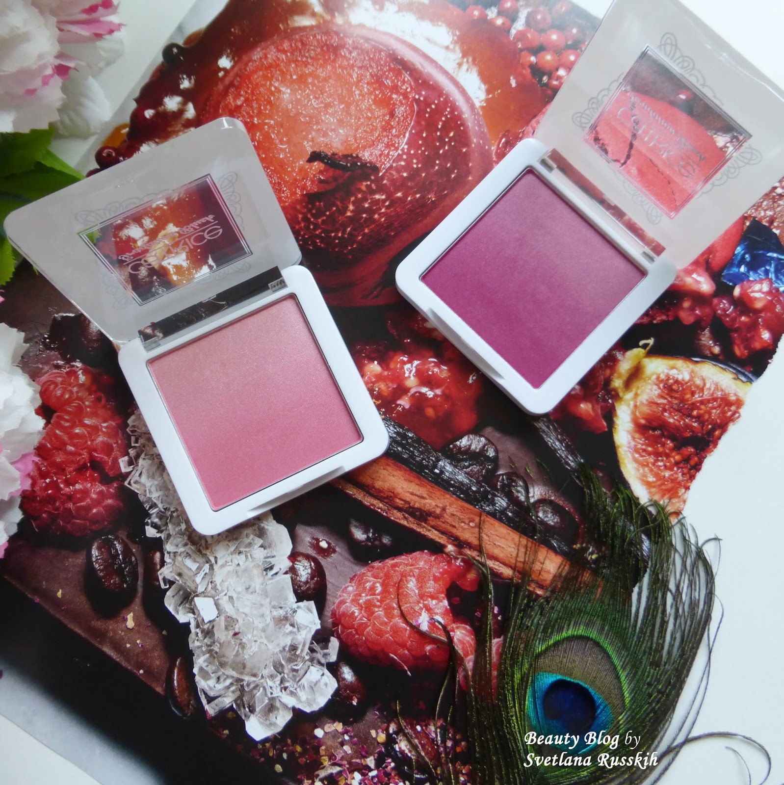 provoCatrice Gradation Blush #01 Raspberry Belle & #02 Berry Bow ...