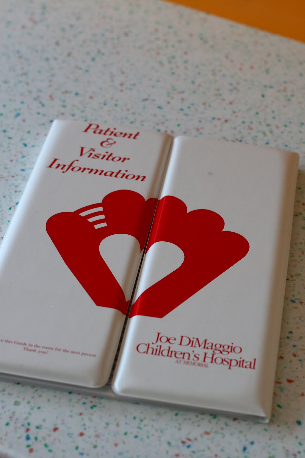 Let There Be Light Photography: Joe DiMaggio Children's Hospital Grand ...