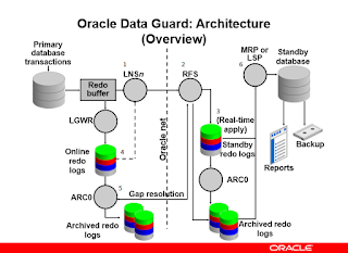 What are those processes in V$DATAGUARD_PROCESSES on the ZDLRA?
